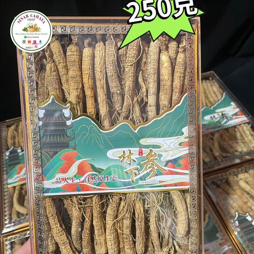 Jual Ginseng Ren Shen Pegunungan 250 gram - Jakarta Utara - SINAR ...