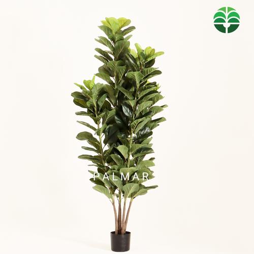 Jual Ketapang Artificial 2 Meter PALMAR Tanaman Plastik - Kab. Bogor ...