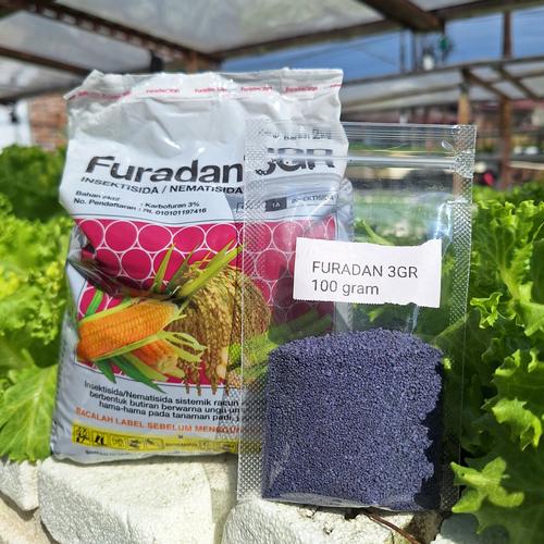 Jual Furadan 3GR Insektisida Pengendali Hama Tanaman Kemasan 100gram ...