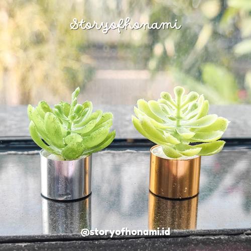 Jual MINIATUR 1:12 TANAMAN PLASTIK DAUN PENDEK (2 x 2 x 4.3 cm) LEAF PLANTS POT NENDOROID SHF ...