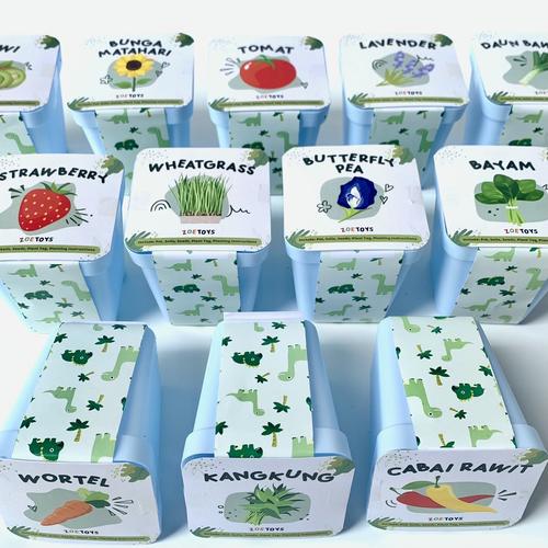 Jual Zeotoys Mini Grow Kit | Paket Berkebun Gardening Kit | Souvenir ...