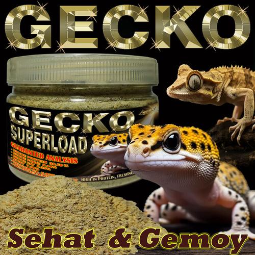 Promo 250GR GECKO SUPERLOAD GUTLOAD VITAMIN SUPLEMENT FOOD PENGGEMUK ...