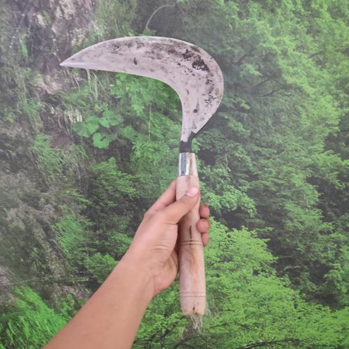 Jual arit rumput pisau sabit rumput baja per original berkualitas tebal ...