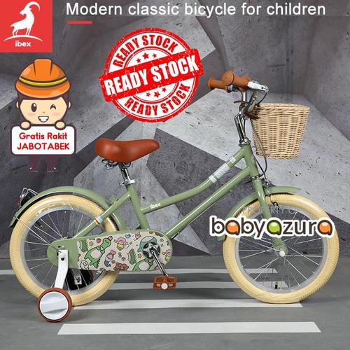 Jual Sepeda Anak Korea Ibex Kids Citybike Sepeda Anak Sepeda Roda Dua ...