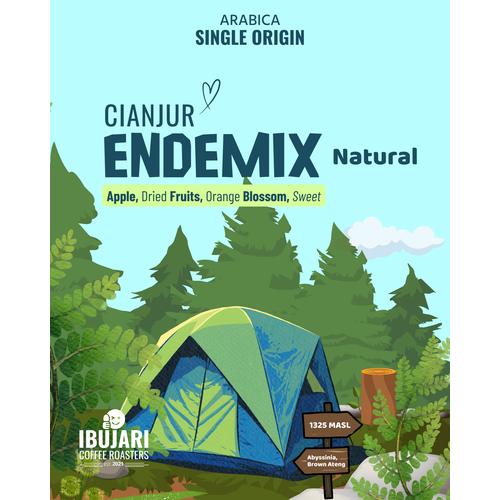 Jual Endemix Natural • Biji Kopi Arabika Single Origin Cianjur Arabica ...