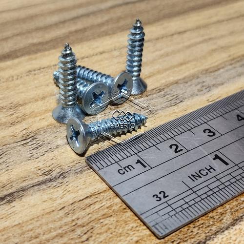 Jual SEKRUP SKRUP FH FAB F+AB TAPPING 8X3/4 PANJANG 2CM TAPING SCREW 8 ...