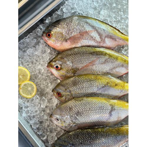 Jual Ikan Ekor Kuning Segar / Fresh Yellow Tail Fish 1 KG - Kota ...