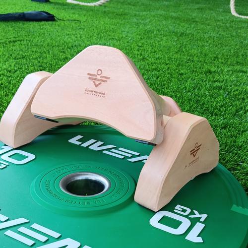 Jual Wooden Parallettes Felon2 Low Parallette Bar Handstand Push Up Bar ...