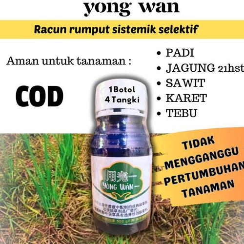 Jual YONGWAN 1 HERBISIDA RACUN RUMPUT SISTEMIK PADI KARET SAWIT JAGUNG ...