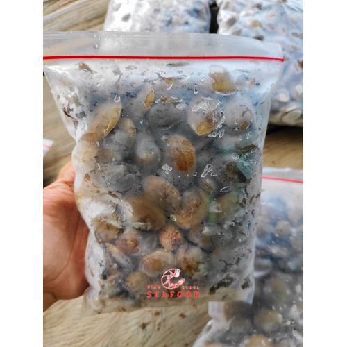 Jual Kerang Remis/Kerang Laya Segar Beku 500gram PerPack - Jakarta ...