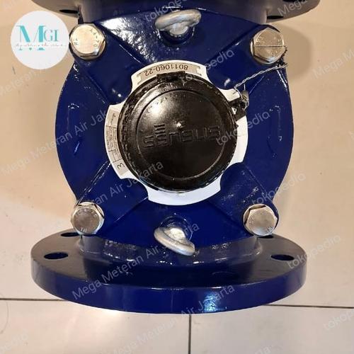 Jual Flow Meter SENSUS 6 Inch/Sensus WP-Dynamic 6 Inch (DN 150 mm ...