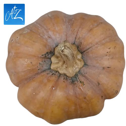 Jual Buah labu sayur kolak kuning parang waluh segar pilihan fresh ...