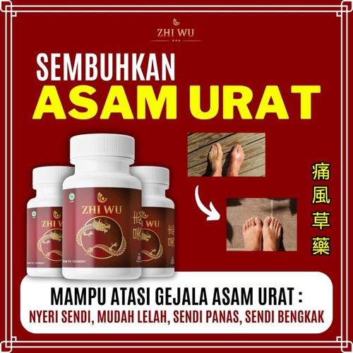 Jual Zhi Wu Asli Obat Herbal Asam Urat Dan Rematik 30 Kapsul BPOM ...