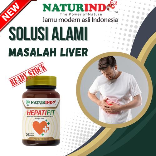 Jual HEPATIFIT OBAT LIVER HEPATITIS A B C D E HERBAL LIVER BENGKAK ...