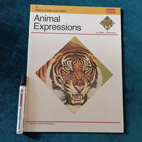 Jual How to Draw and Paint ANIMAL EXPRESSIONS - Kota Surakarta ...