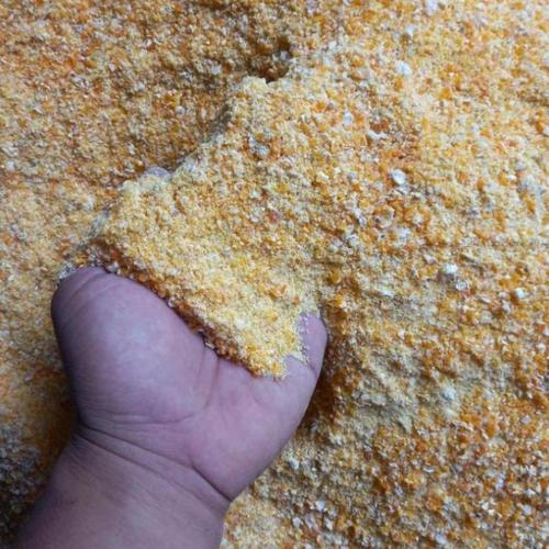 Jual Jagung giling pecah ecer pakan ternak ayam merpati kemasan 1kg ⇳ ...