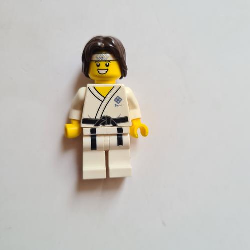 Jual Lego minifigure original Karate coach. - Jakarta Barat - Market ...
