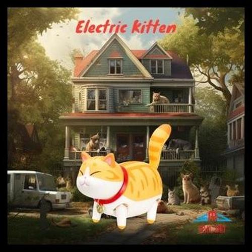 Jual Good Quality Mainan Kucing Listrik Unik Lucu Dai Miao Zou Electric ...