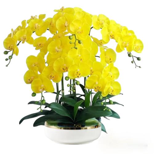 Jual Rangkaian Bunga Anggrek Premium Latex Import-Yellow Pot Gold - Kab ...