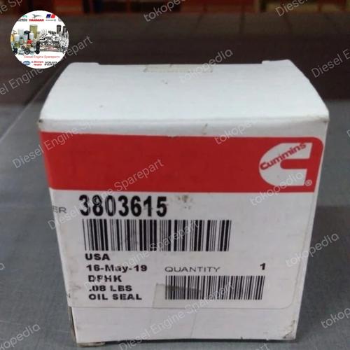 Jual 3803615 / 3075523 seal kit PT pump cummins nta855 kta19 kta38 ...