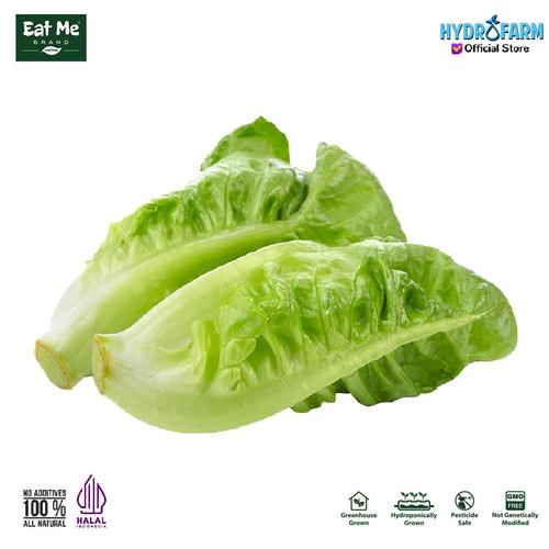 Jual Eat Me Brand - Selada Baby Cos Lettuce Hidroponik Kg - 500gr ...