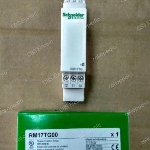 Jual SCHNEIDER RELAY KONTROL FASA 1C/O RM17TG00 / 2C/O RM17TG20 208 ...
