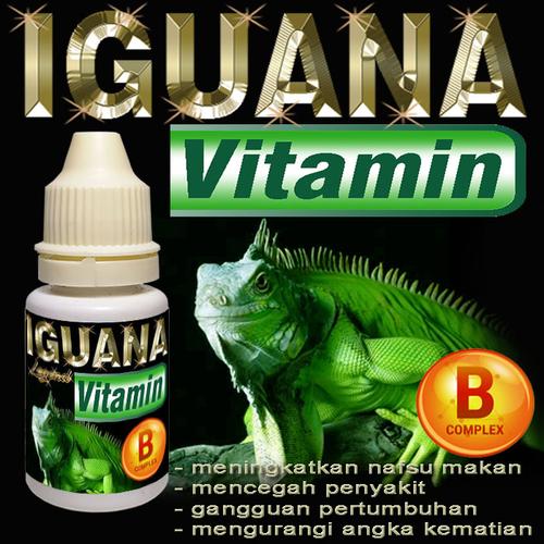 Promo IGUANA VITAMIN CAIR SUPLEMEN KESEHATAN IGUANNA HIJAU BATU DIAMOND ...