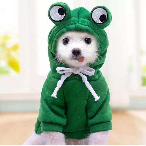 Jual Kostum Anjing Kucing Model Kodok / Hoodie Kucing Anjing Model ...