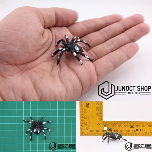 Jual Mainan Laba-Laba Spider Mirip Asli Maket Binatang Hewan Liar Wild ...