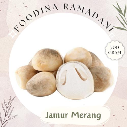 Jual JAMUR Merang - Padi Fresh [ Berat 500gr ] Harga Per 0,5 Kg ...