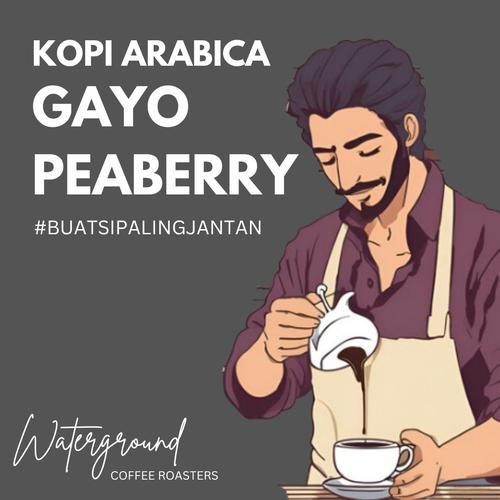 Promo Kopi Arabika Aceh Gayo Peaberry 150 grams | Arabica Single Origin ...