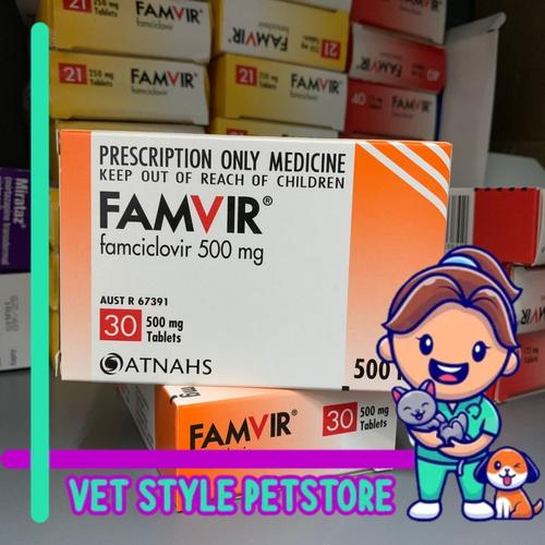 Jual Famvir 500mg Anti Virus Kucing 30 Tablets Per Box - Kota Bogor ...