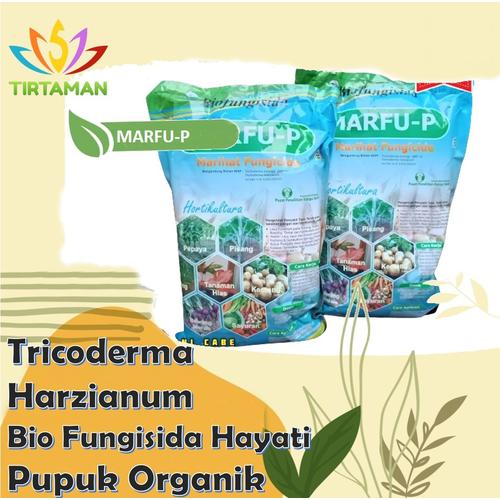 Jual tricoderma harzianum / bio fungisida hayati / pupuk organik / jamur trichoderma / pencegah ...