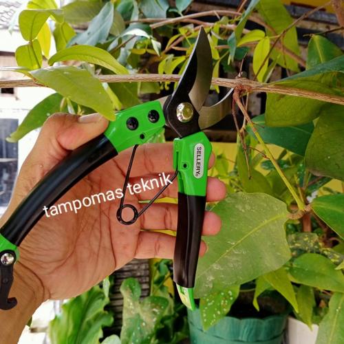 Jual Gunting Dahan Sellery USA 8" Gunting Ranting Bunga Dahan Tanaman ...