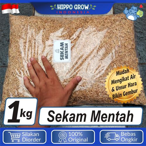 Jual 1000 gr – Sekam Mentah Kulit Padi Gabah Media Tanam Bungkus Besar ...