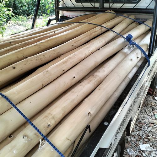 Jual kayu dolken kupas up 8*10 cm - Kab. Bogor - pangkalan kayu dolken ...