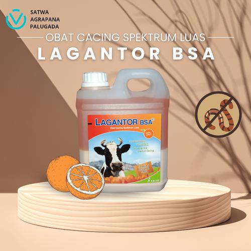 Jual Obat Cacing Spektrum Luas Lagantor BSA Bolus 1 Liter Obat Cacing ...