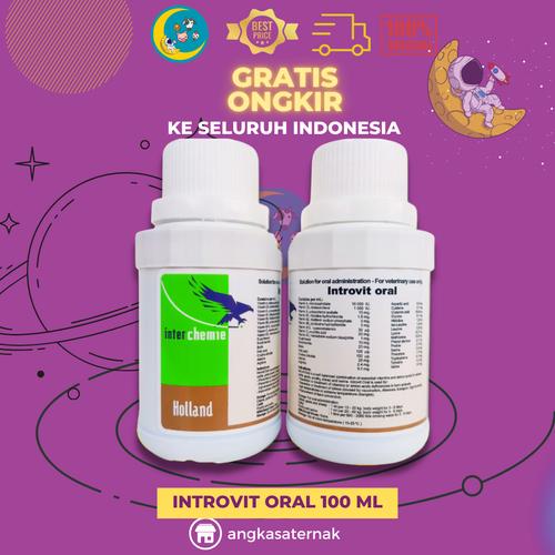 Jual INTROVIT ORAL 100ml - Multivitamin & Asam Amino Mempercepat ...