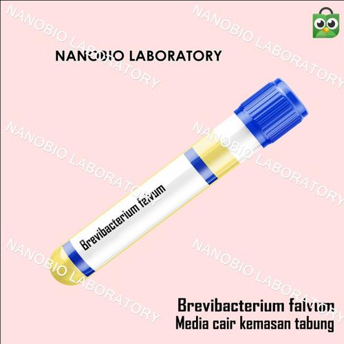 Jual Isolat Culture Brevibacterium falvum Media Cair 100ml - Media Gel, 50 gr - Kab. Bogor ...