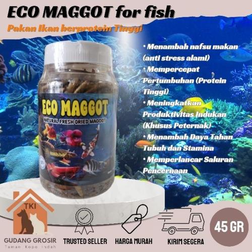 Jual Eco Maggot 45Gr Natural Fresh Dried Maggot Untuk Pakan Ikan Hias ...