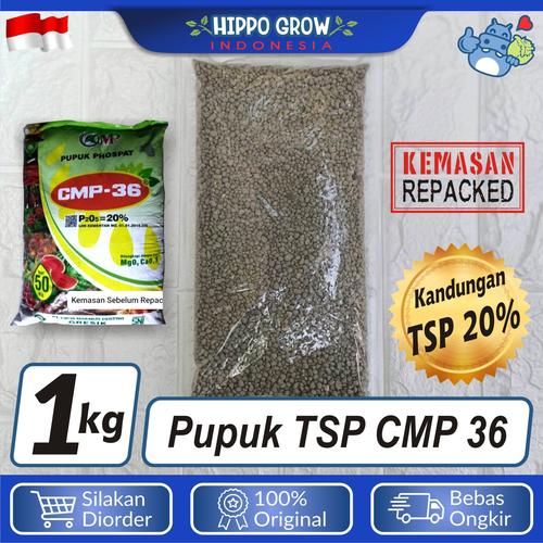 Jual Pupuk TSP Fosfat SP36 Pospat CMP 36 Kemasan 1kg - Kota Tangerang ...