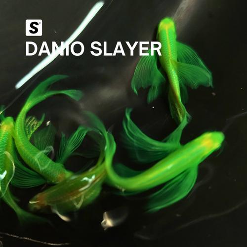 Jual Danio Slayer Hijau Siap Induk Perekor - Hijau Tua - Kab. Kebumen ...