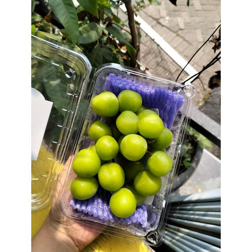 Jual ANGGUR SHINE MUSCAT PACK SEEDLESS - Jakarta Barat - Sukabuah.id ...