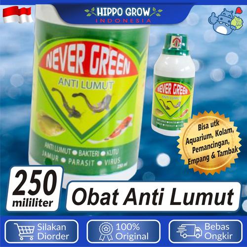 Jual Obat Anti Lumut Never Green Basmi Protozoa Air Kolam Tambak Ikan ...