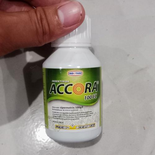 Jual Insektisida Accora 100 EC Kemasan 100 ml - Kota Blitar - Aneka ...