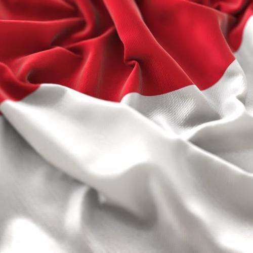 Jual BENDERA CUSTOM / CETAK BENDERA KOSTUM / CETAK TEXTILE / Cetak ...