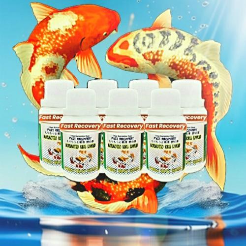 Jual OBAT IKAN KOI,KOKI,TAMASABA,PENYAKIT INFEKSI BAKTERI DROPSY ...