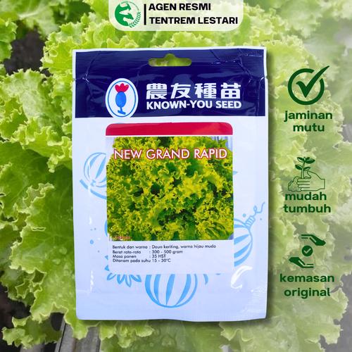 Jual Benih Selada NEW GRAND RAPID 10 gr Known You Seed - 5 gram - Kab. Pati - Kandang Tentrem ...