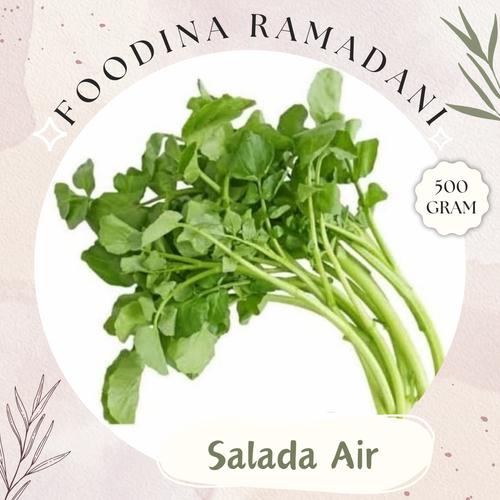 Jual SALADA AIR Jembak - Wetercress Fresh [ Berat 500gr ] Harga Per 0,5 ...