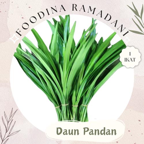 Jual DAUN PANDAN Wangi - Pandan Leaf Fresh [ Ikatan Size M-L ] Harga ...